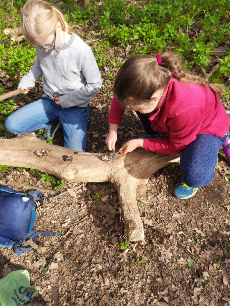Bushcraft for Children – Discover Bushcraft